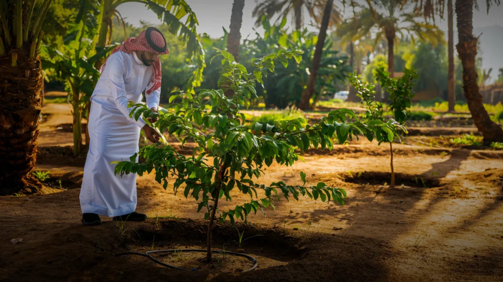 Plant 10-billion trees? Yes we can. – Safe Saudi Arabia