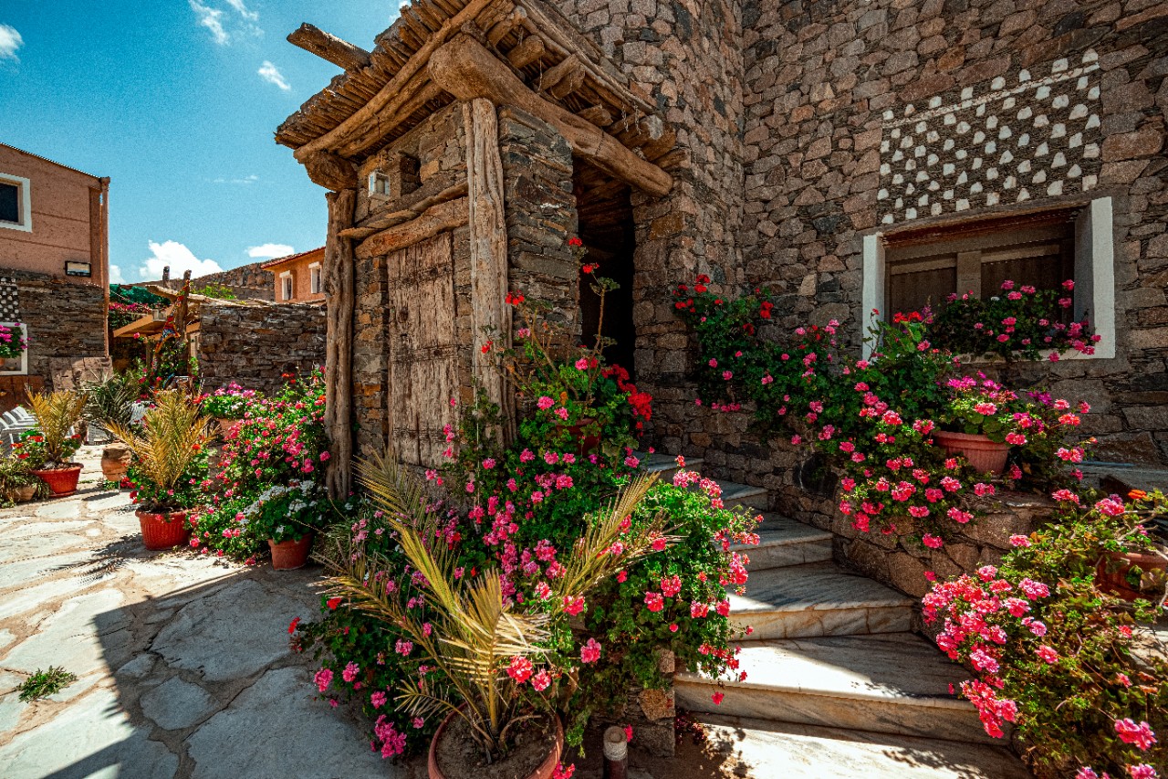 Southern Region - Safe Saudi Arabia