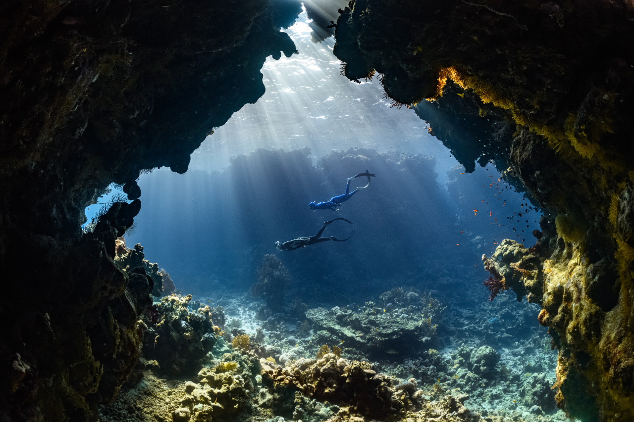 Exploring the depths: Scuba diving on the Saudi Red Sea coast - SAFE ...