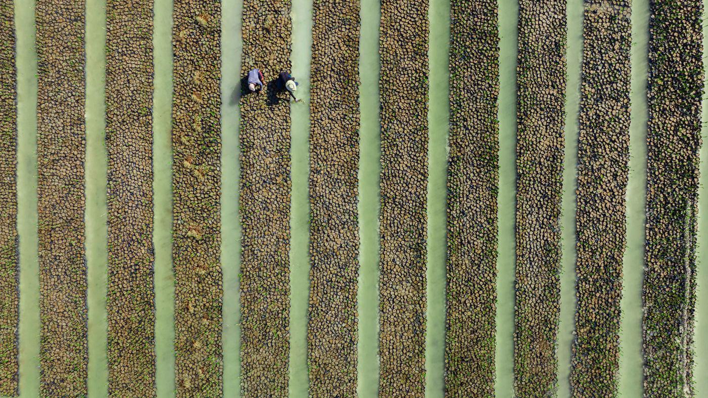 Red Sea Global's 4th Annual Sustainability Report: towards 30% net ...